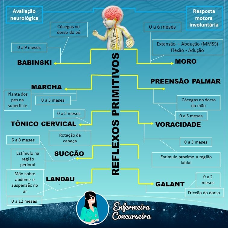 Mapa Mental de Reflexos Primitivos | Enfermagem
